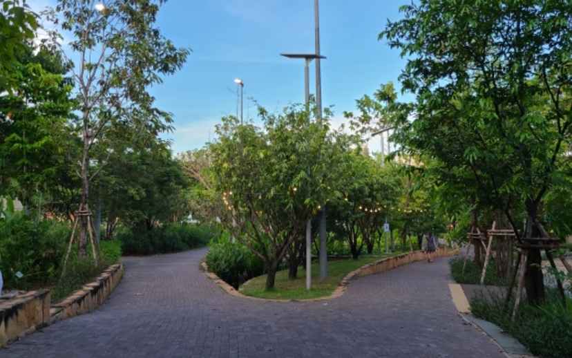 More Haste, Less Speed | yomu yomu