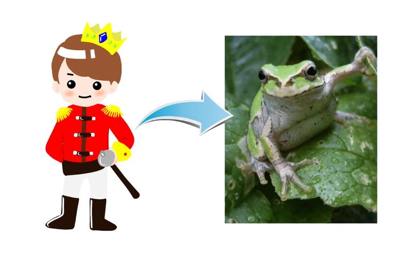 The Person I Like Has Turned Into a Frog! | yomu yomu