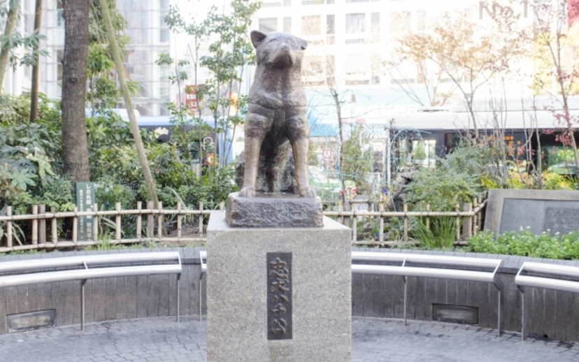The Hachiko Memorial Ceremony | yomu yomu